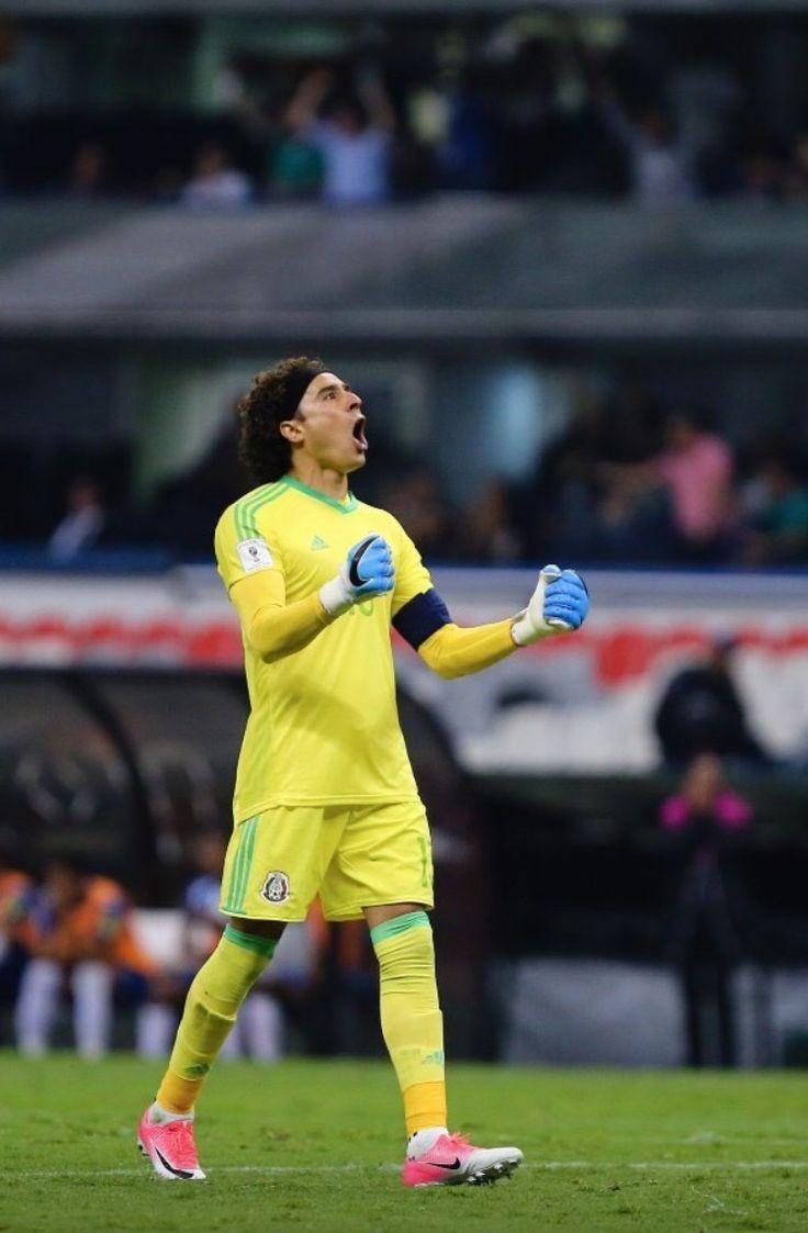 Ochoa Wallpapers - Top Free Ochoa Backgrounds - WallpaperAccess
