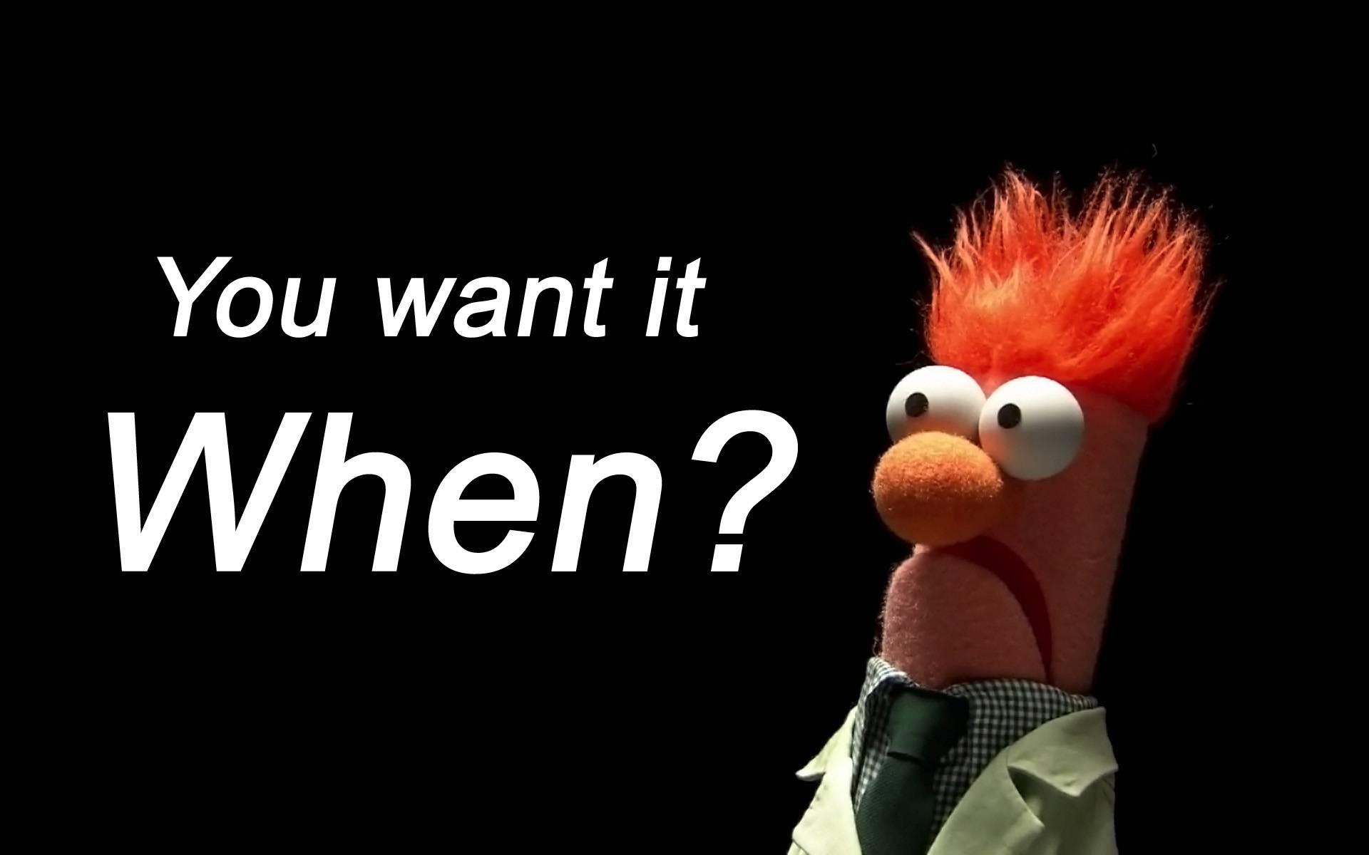 Funny Muppets Wallpapers - Top Free Funny Muppets Backgrounds ...