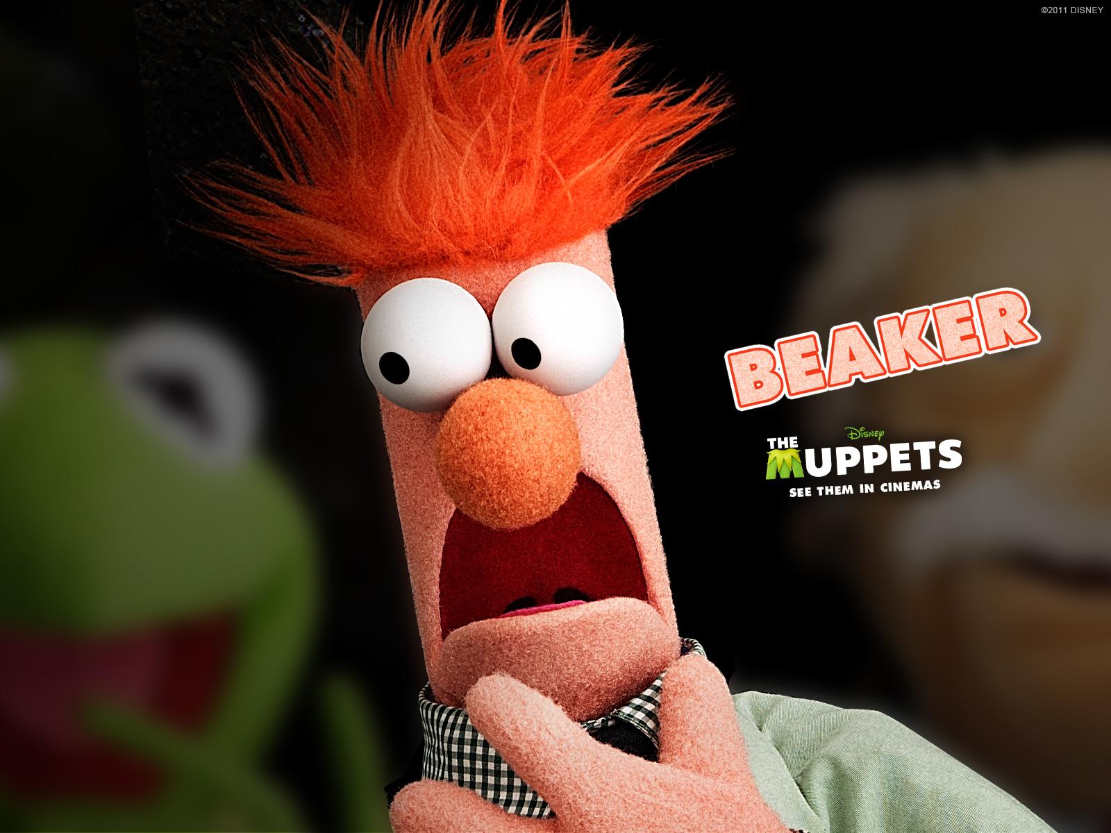 Funny Muppets Wallpapers - Top Free Funny Muppets Backgrounds ...