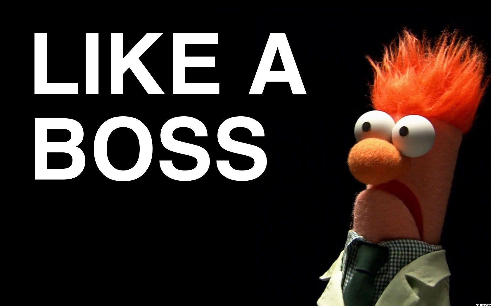 Funny Muppets Wallpapers - Top Free Funny Muppets Backgrounds ...