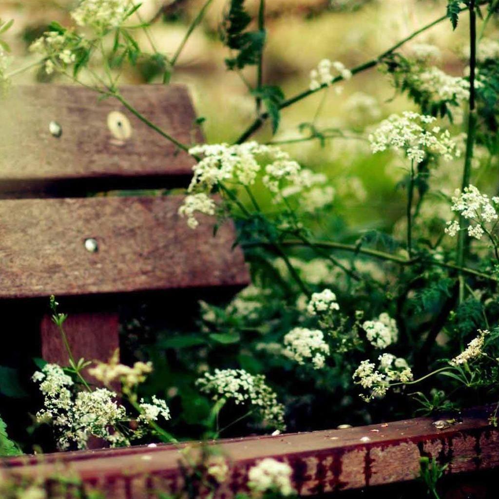 Country Spring Flowers Wallpapers - Top Free Country Spring Flowers ...