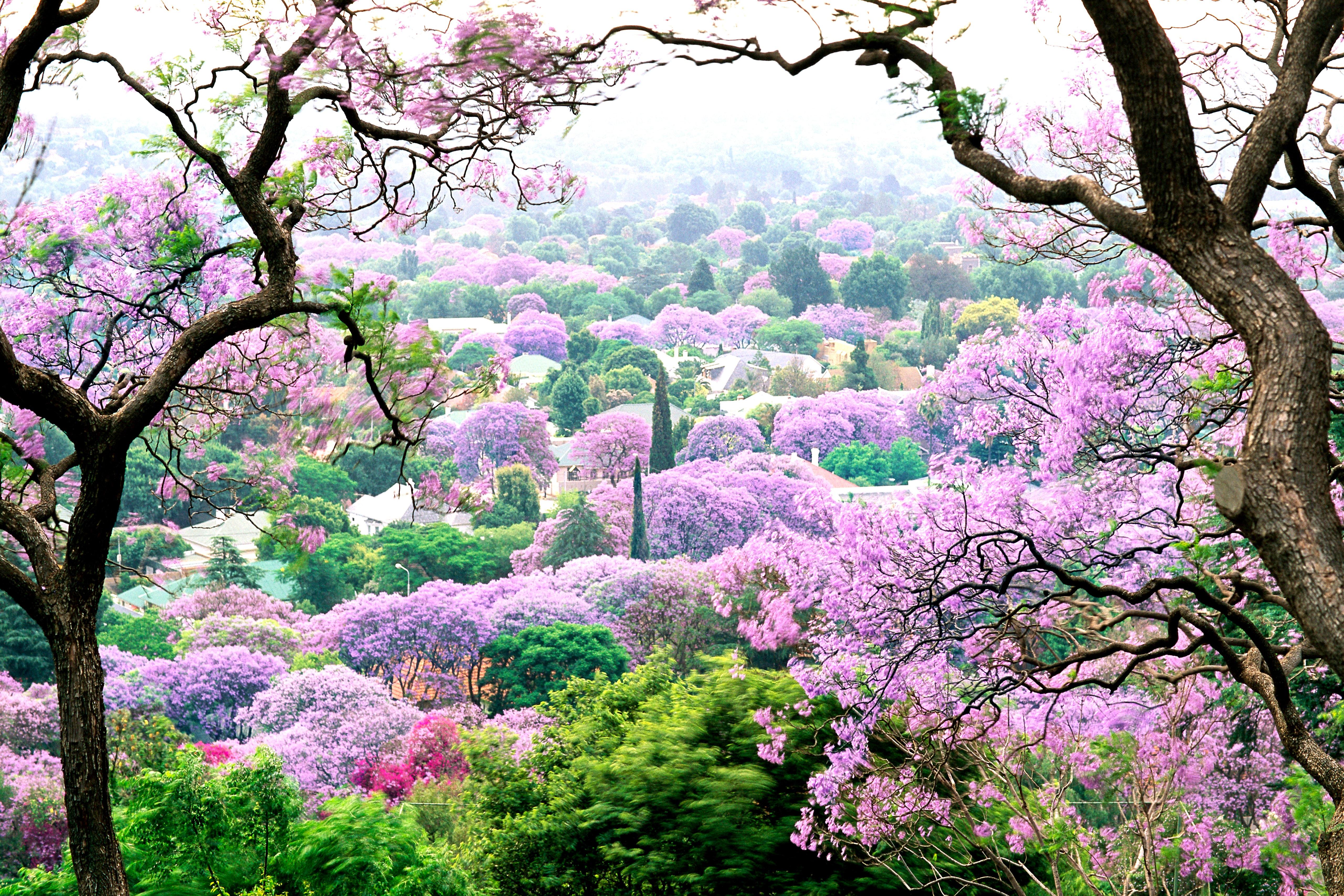 Country Spring Flowers Wallpapers - Top Free Country Spring Flowers ...