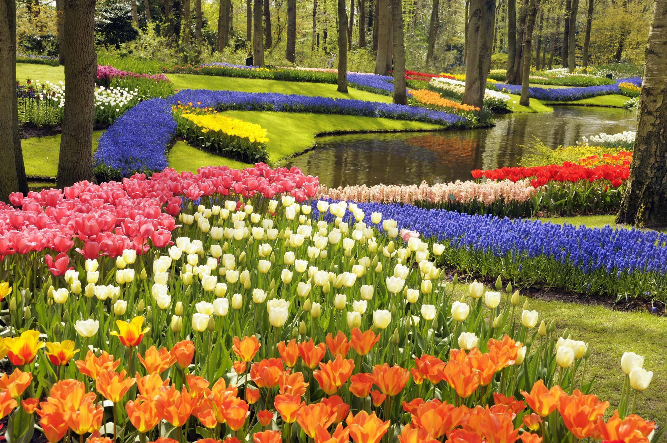 Country Spring Flowers Wallpapers - Top Free Country Spring Flowers ...