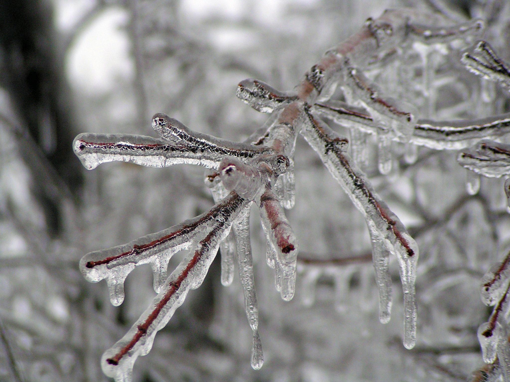 Ice Storm Wallpapers - Top Free Ice Storm Backgrounds - WallpaperAccess