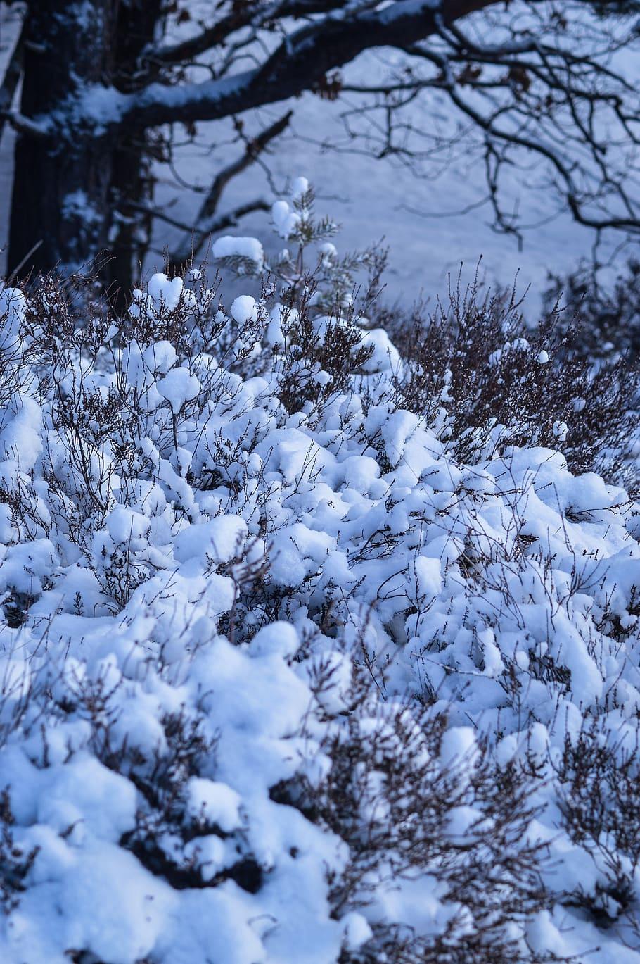 Ice Storm Wallpapers - Top Free Ice Storm Backgrounds - WallpaperAccess