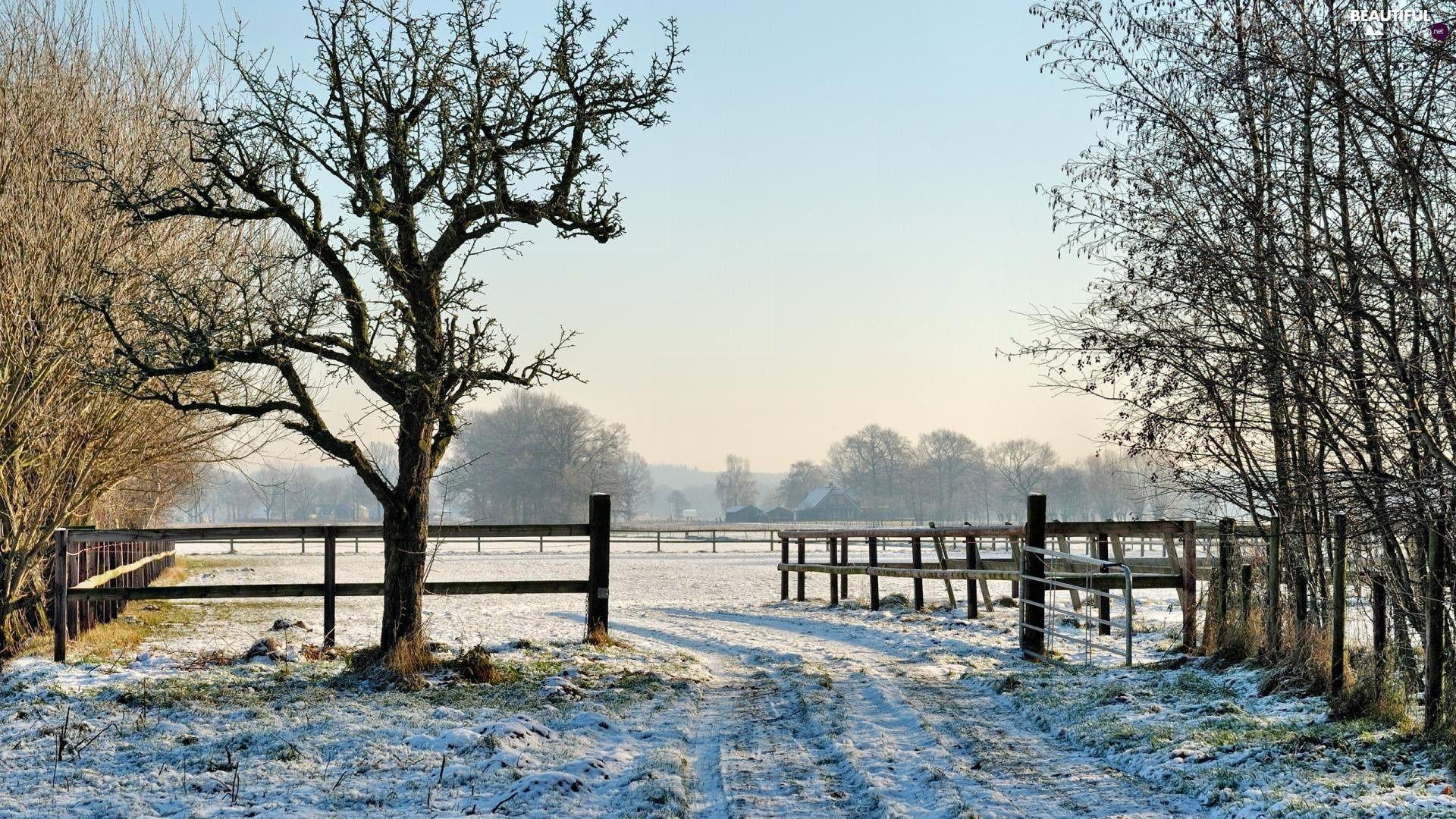 Winter Rural Wallpapers - Top Free Winter Rural Backgrounds ...