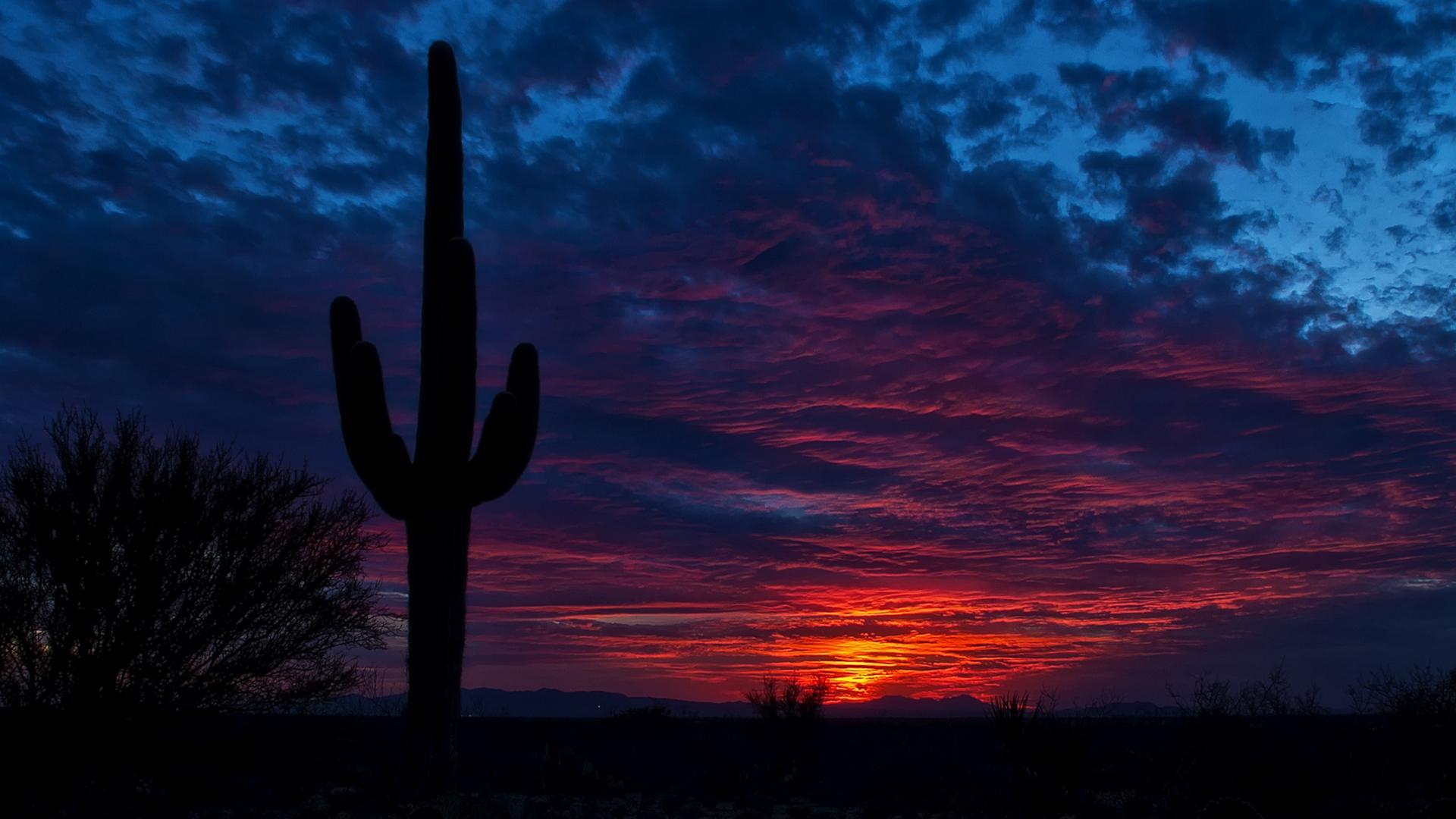 Arizona Night Sky Wallpapers - Top Free Arizona Night Sky Backgrounds ...