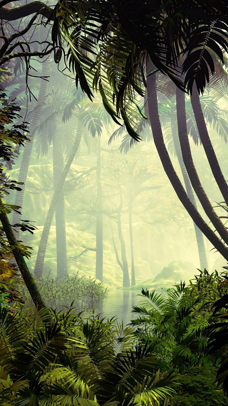 Nature Jungle Wallpapers - Top Free Nature Jungle Backgrounds ...