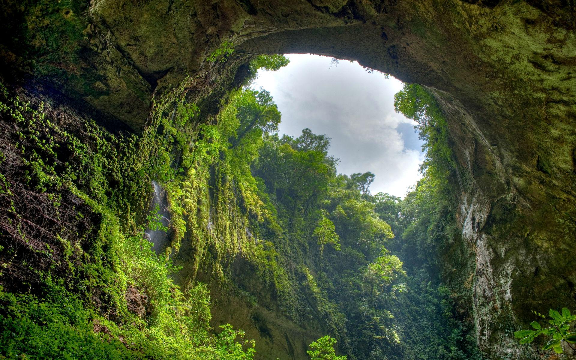 Nature Jungle Wallpapers - Top Free Nature Jungle Backgrounds ...