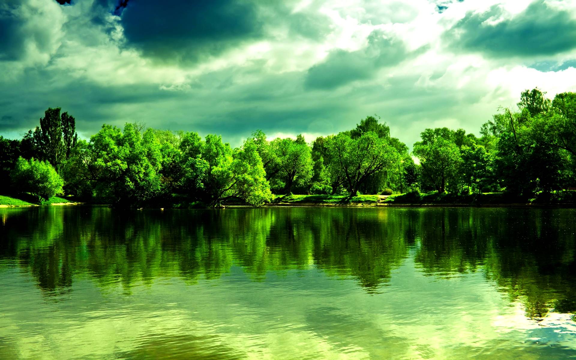 Green Forest 4K Wallpapers - Top Free Green Forest 4K Backgrounds ...
