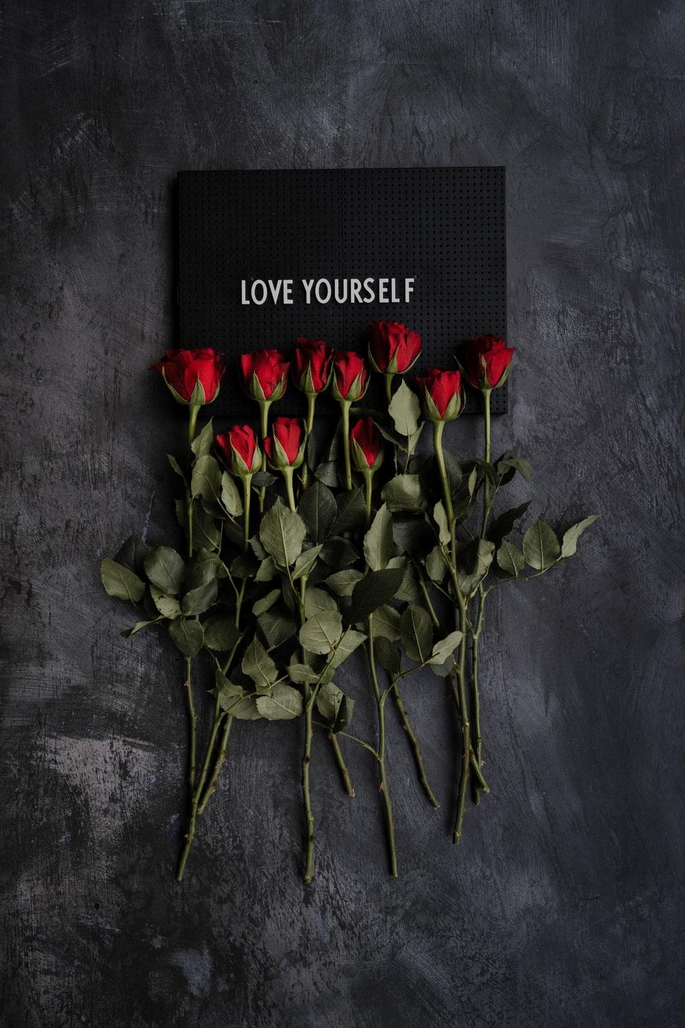 Belief Wallpapers - Top Free Belief Backgrounds - WallpaperAccess