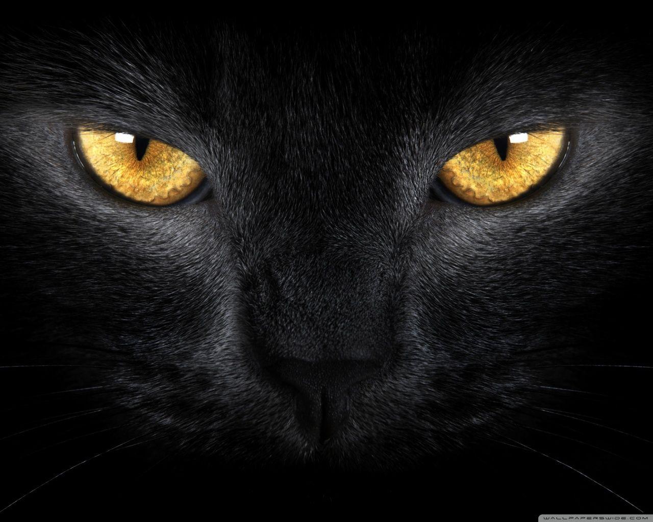 Cool Eye Wallpapers - Top Free Cool Eye Backgrounds - WallpaperAccess