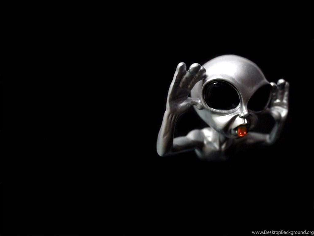 Funny Dark Humor Wallpapers - Top Free Funny Dark Humor Backgrounds ...