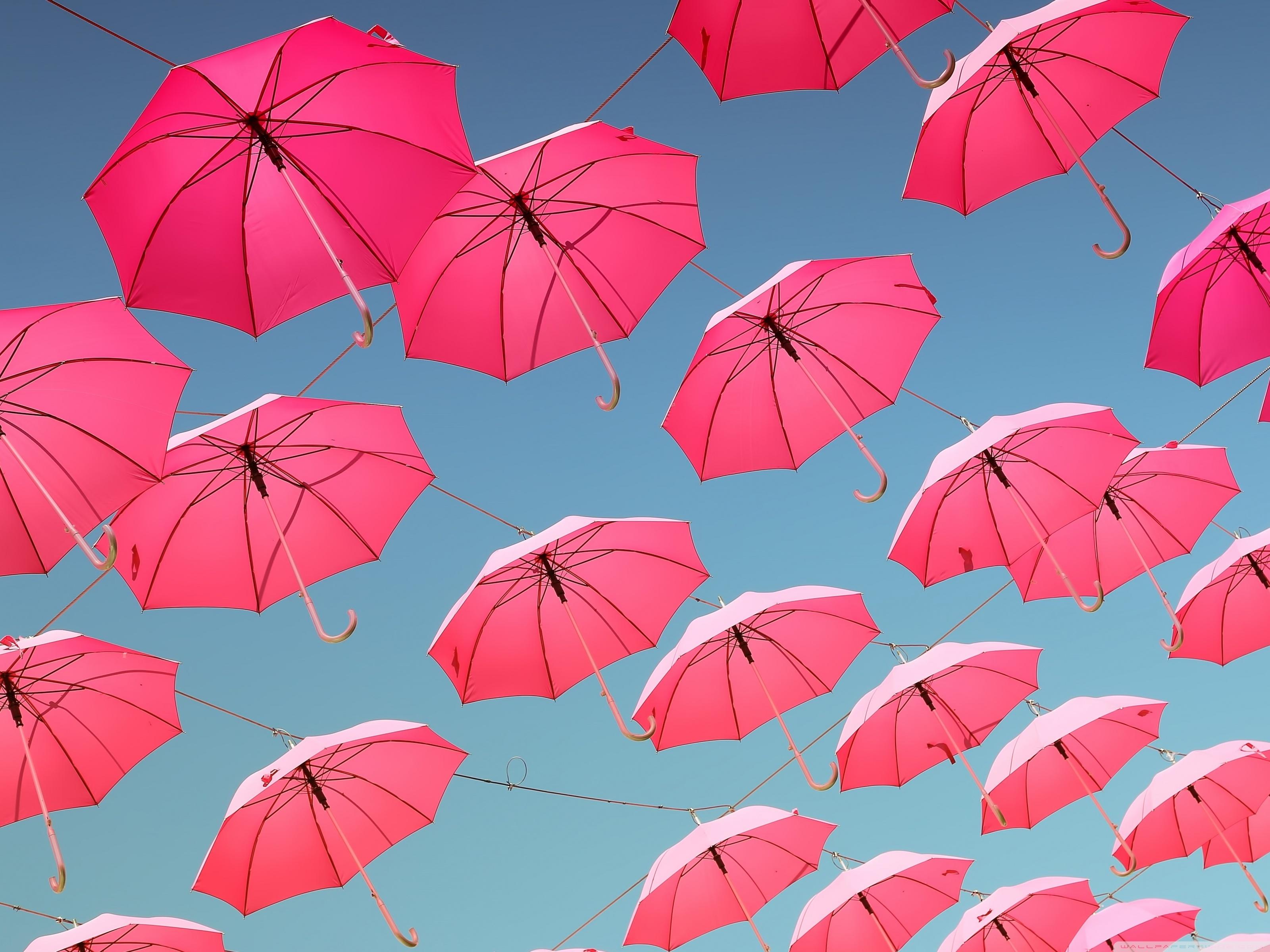 Pink Umbrella Wallpapers - Top Free Pink Umbrella Backgrounds ...