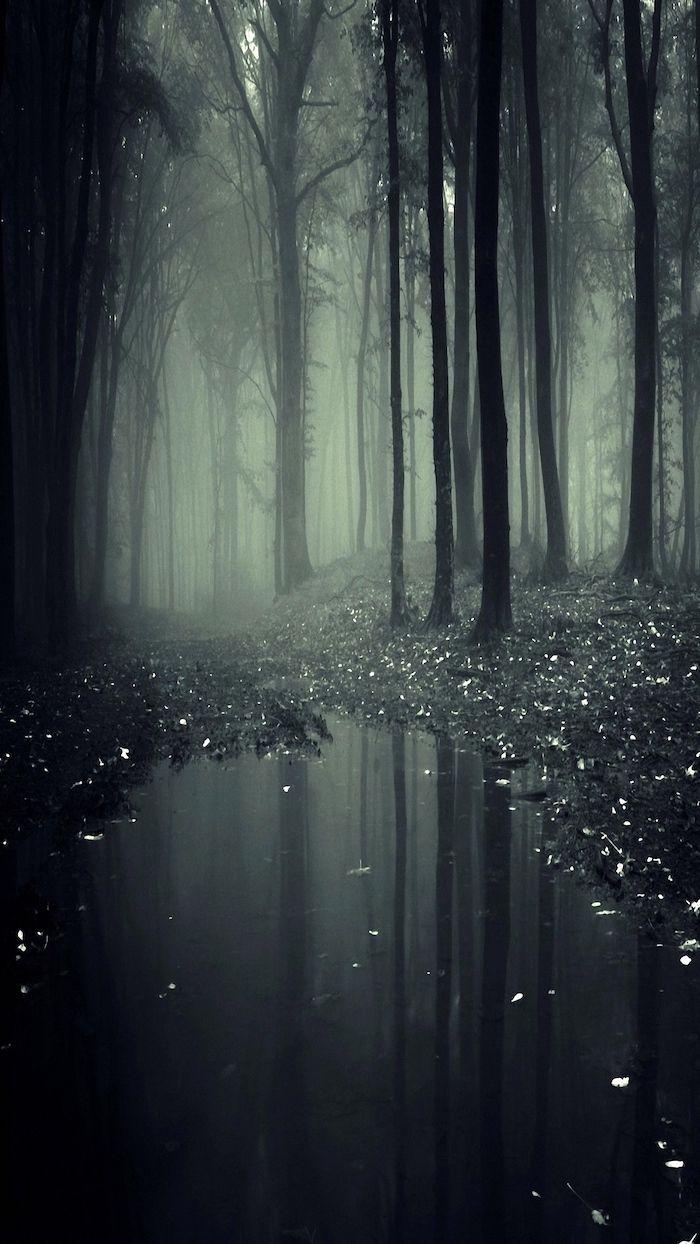 Dark Misty Forest Wallpapers - Top Free Dark Misty Forest Backgrounds ...