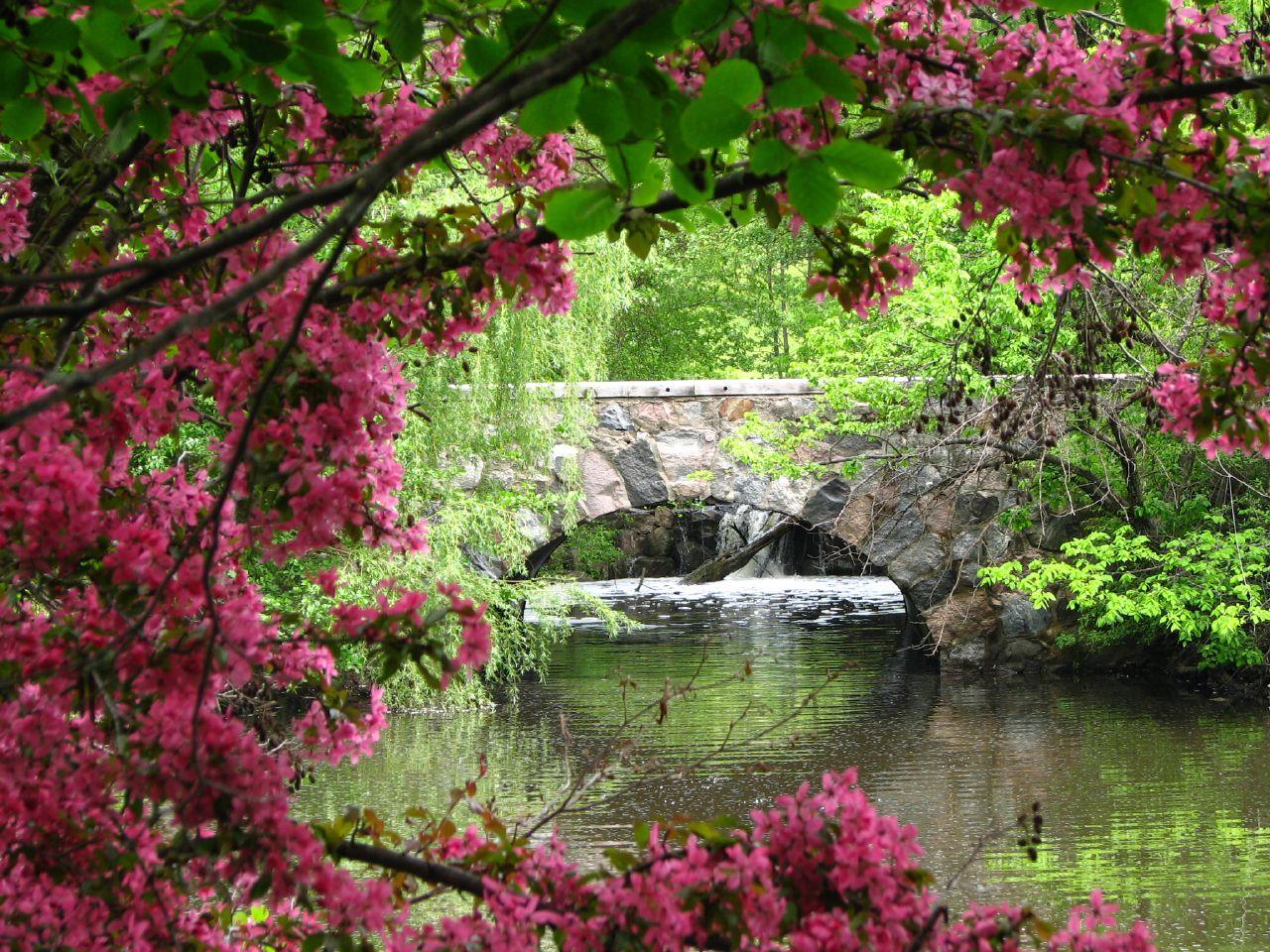 Spring Bridge Wallpapers - Top Free Spring Bridge Backgrounds ...