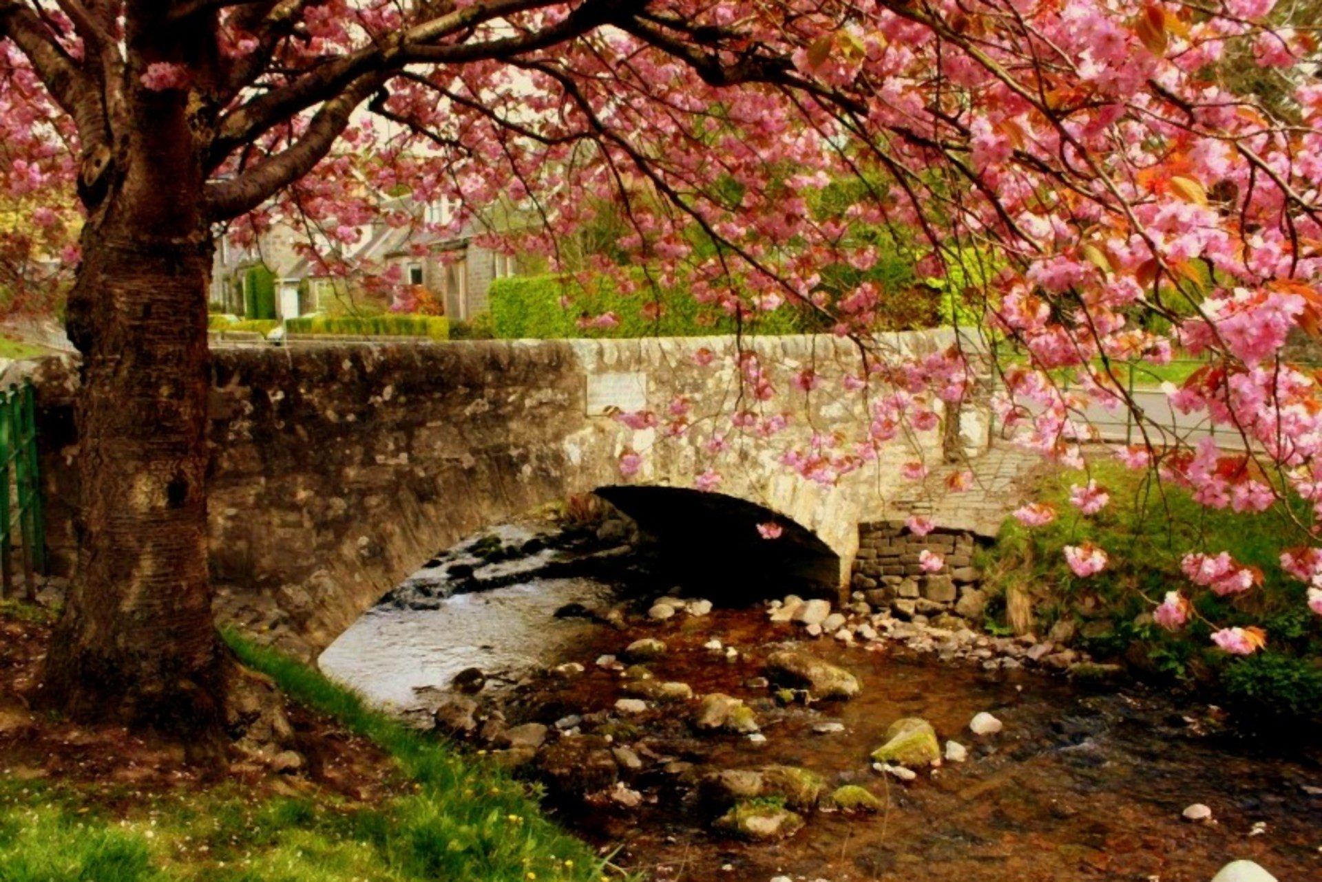 Spring Bridge Wallpapers - Top Free Spring Bridge Backgrounds ...