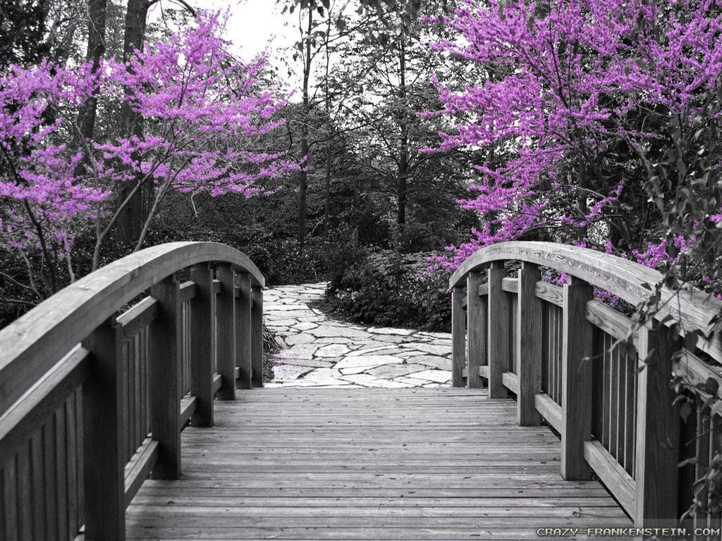 Spring Bridge Wallpapers - Top Free Spring Bridge Backgrounds ...
