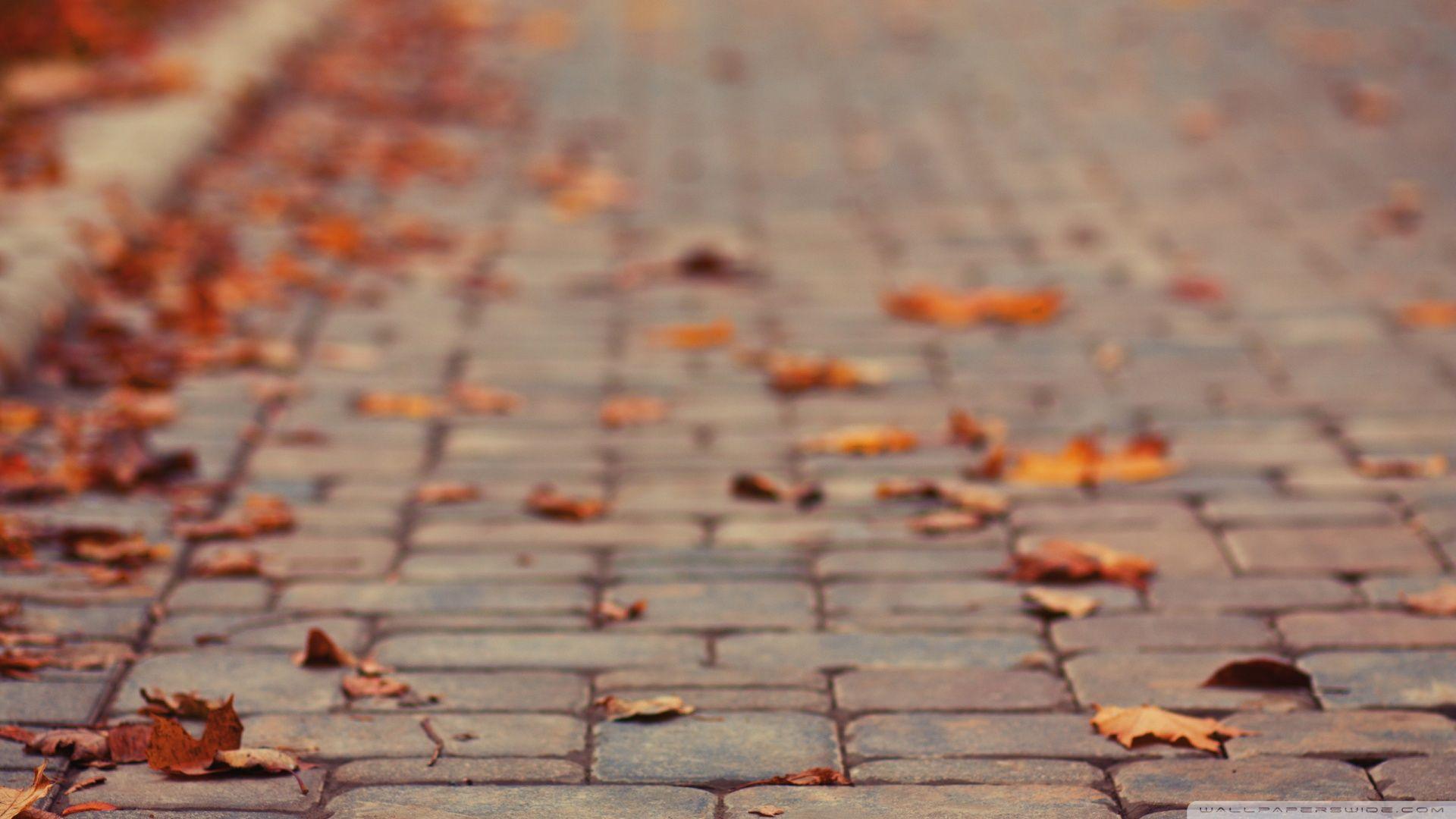 October HD Wallpapers - Top Free October HD Backgrounds - WallpaperAccess