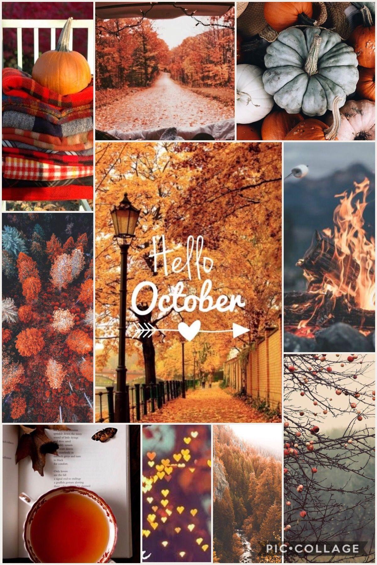 October HD Wallpapers - Top Free October HD Backgrounds - WallpaperAccess