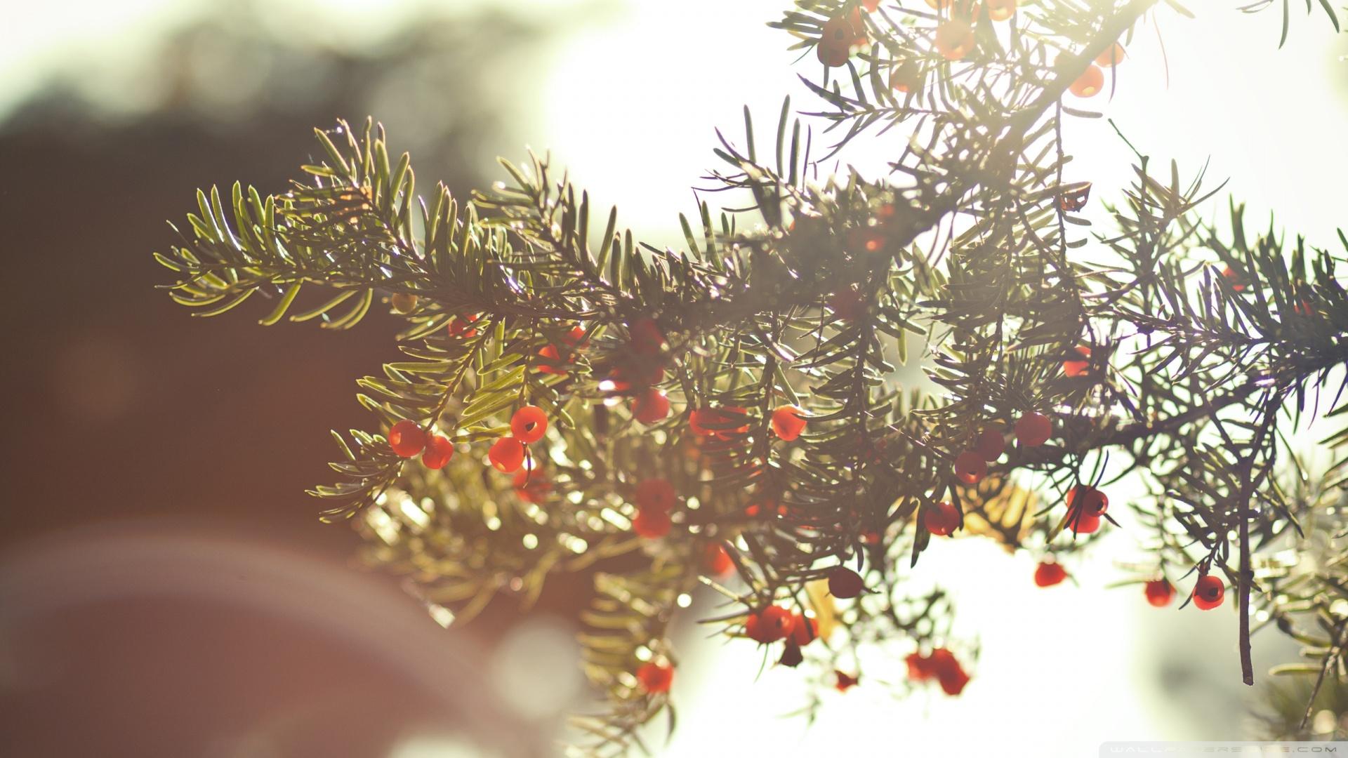 October HD Wallpapers - Top Free October HD Backgrounds - WallpaperAccess