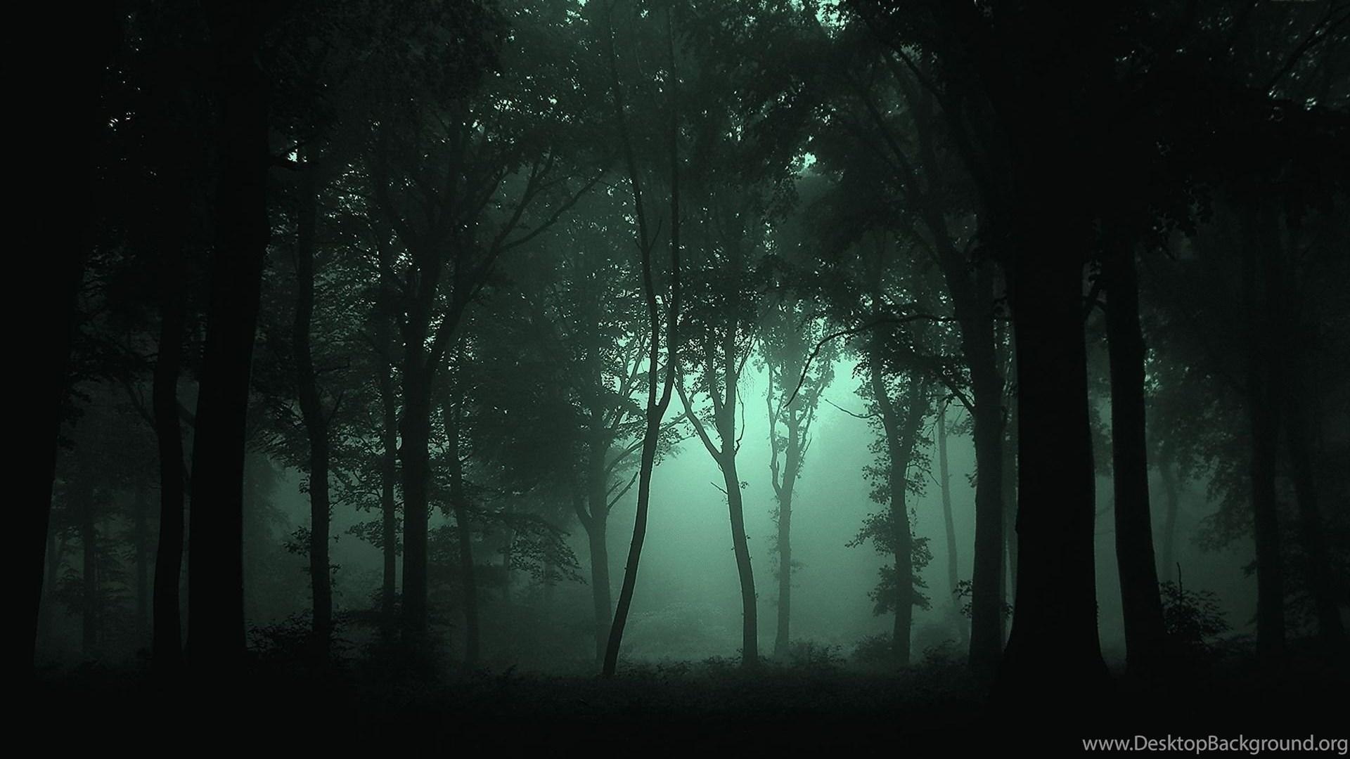 Dark Misty Forest Wallpapers - Top Free Dark Misty Forest Backgrounds ...
