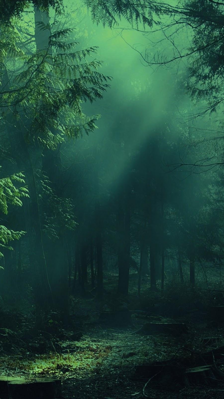 Dark Misty Forest Wallpapers - Top Free Dark Misty Forest Backgrounds ...