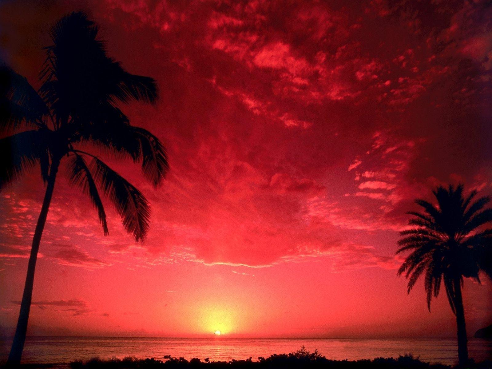 Bahamas Sunset Wallpapers - Top Free Bahamas Sunset Backgrounds ...