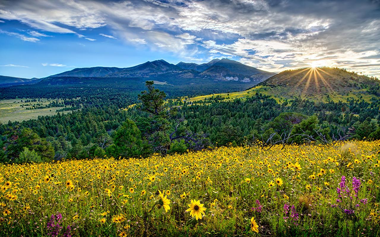 Flagstaff Arizona Wallpapers - Top Free Flagstaff Arizona Backgrounds ...