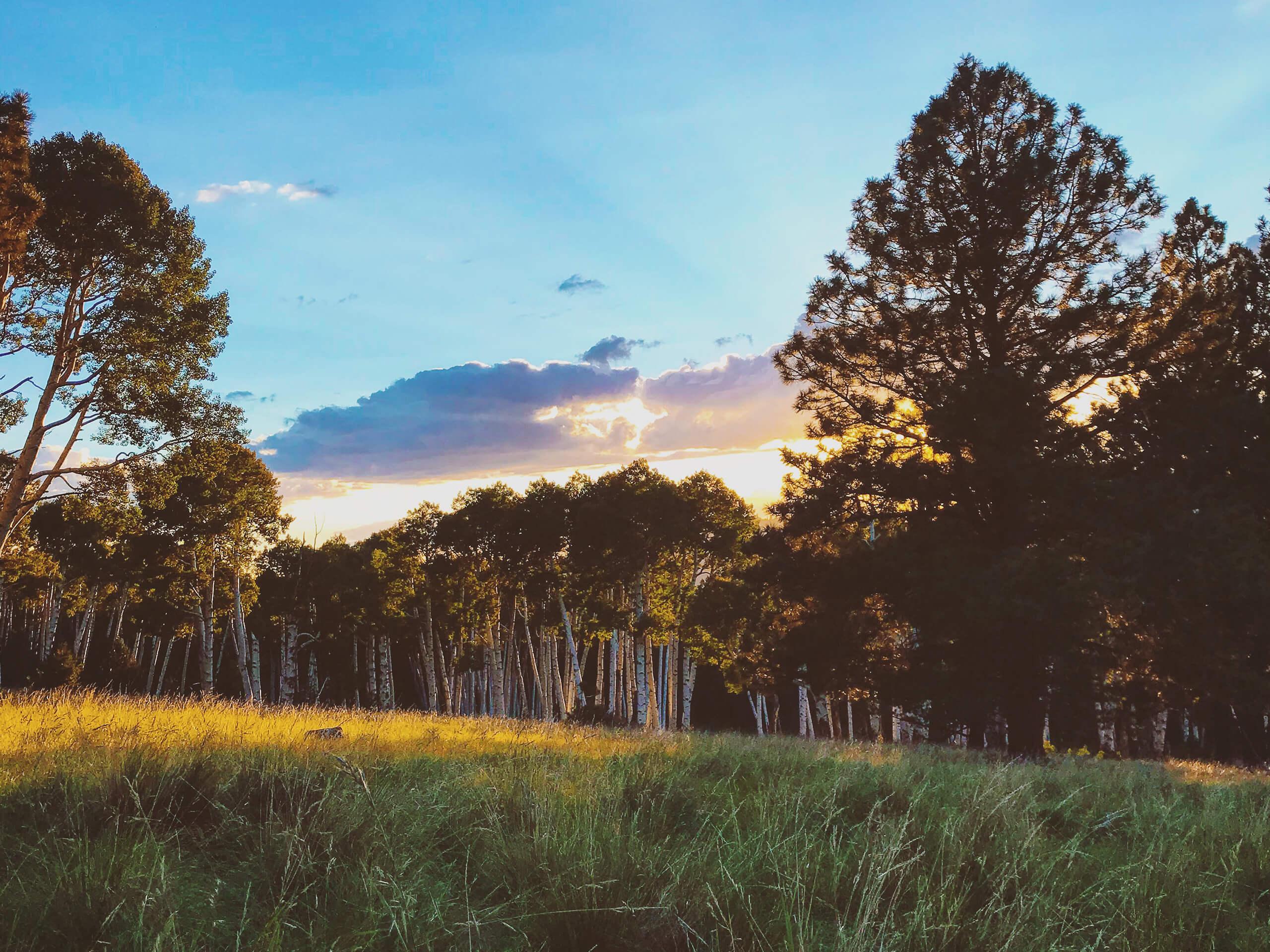 Flagstaff Arizona Wallpapers - Top Free Flagstaff Arizona Backgrounds ...