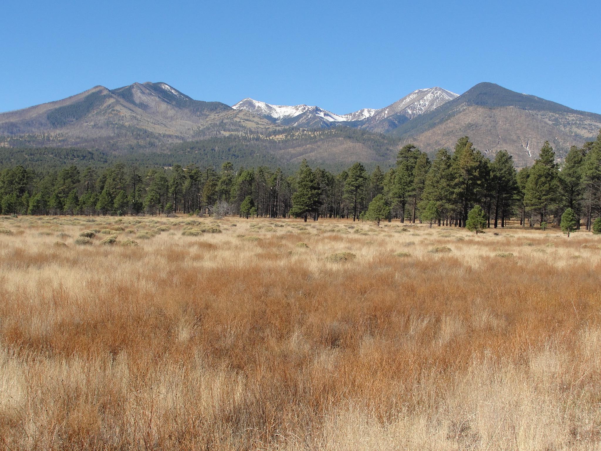 Flagstaff Arizona Wallpapers - Top Free Flagstaff Arizona Backgrounds ...