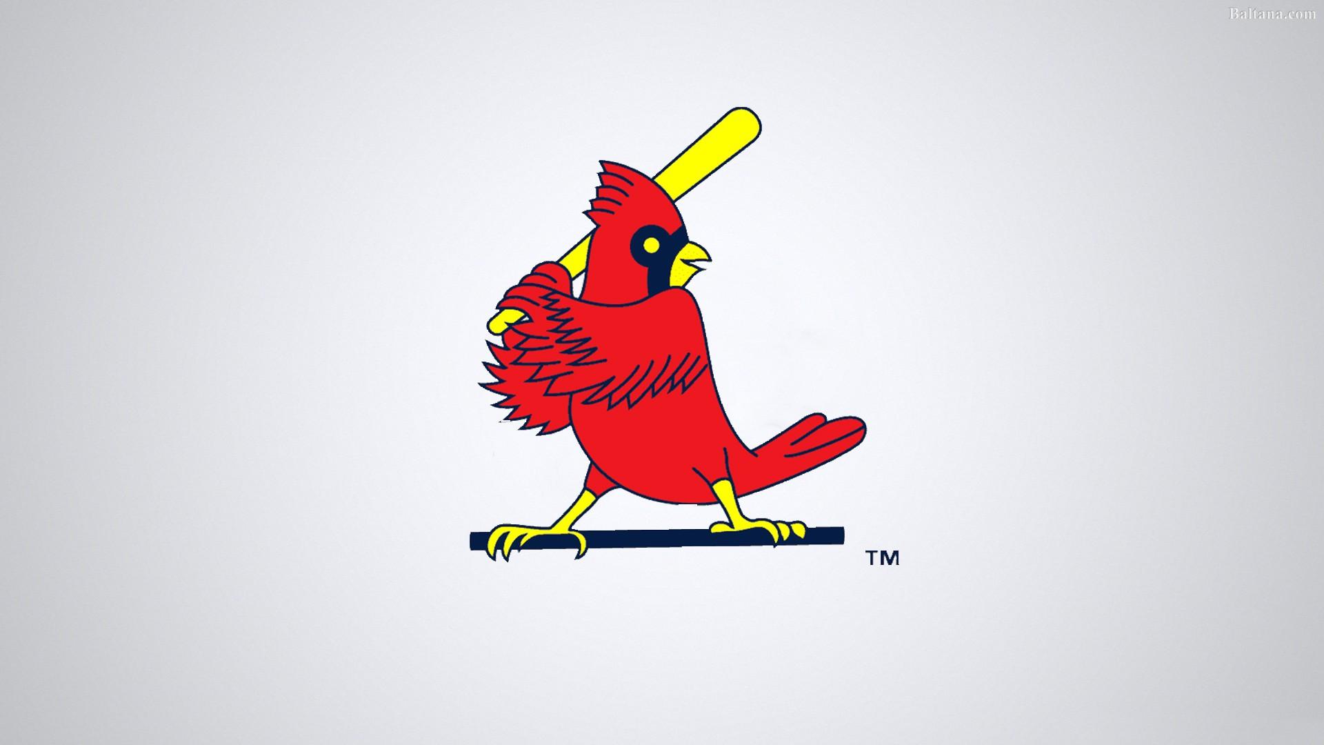 STL Cardinals Wallpapers - Top Free STL Cardinals Backgrounds ...