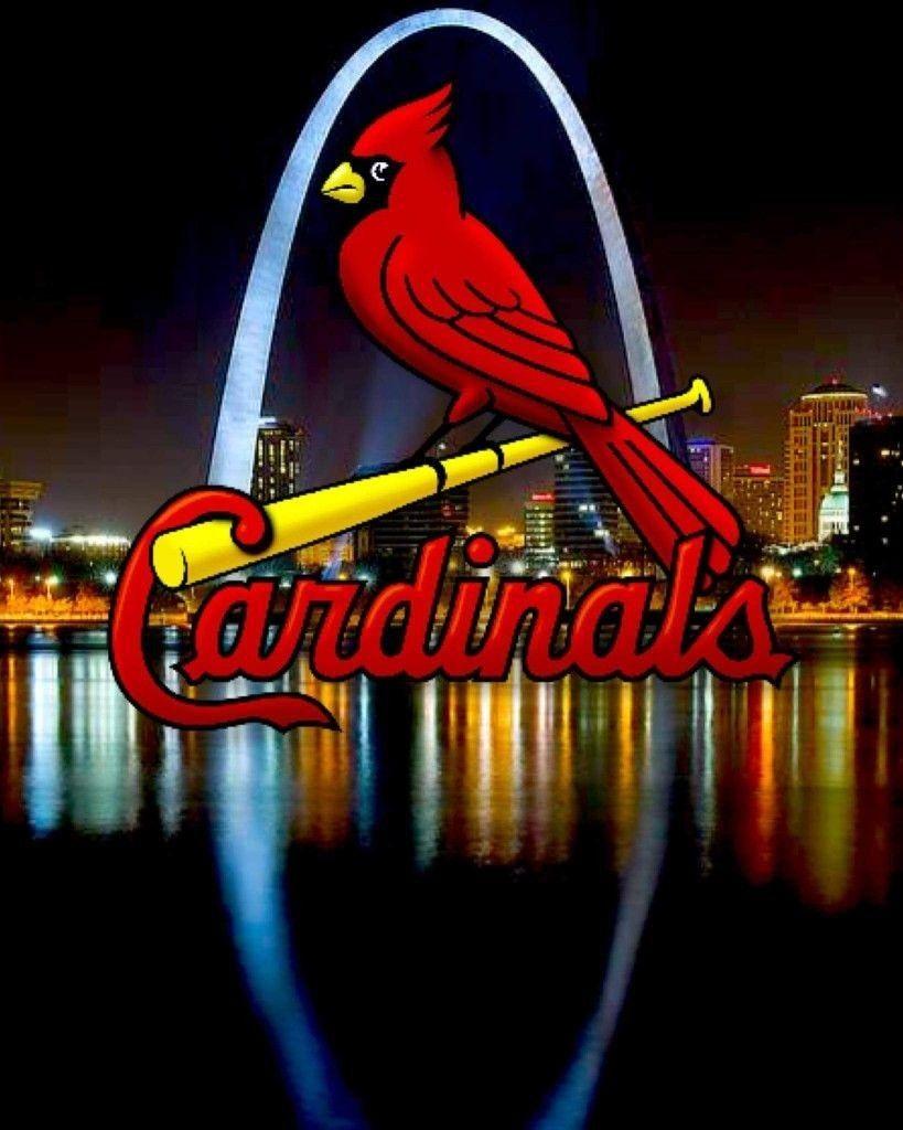 STL Cardinals Wallpapers - Top Free STL Cardinals Backgrounds ...