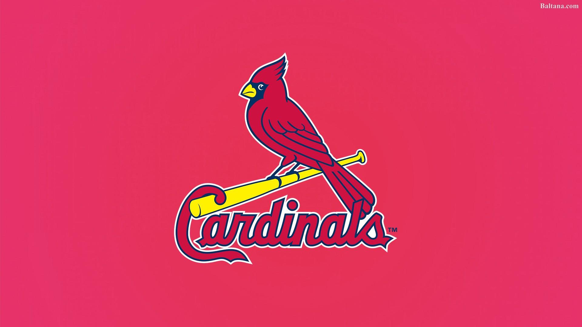 Cardinals Baseball Wallpapers - Top Free Cardinals Baseball Backgrounds - WallpaperAccess
