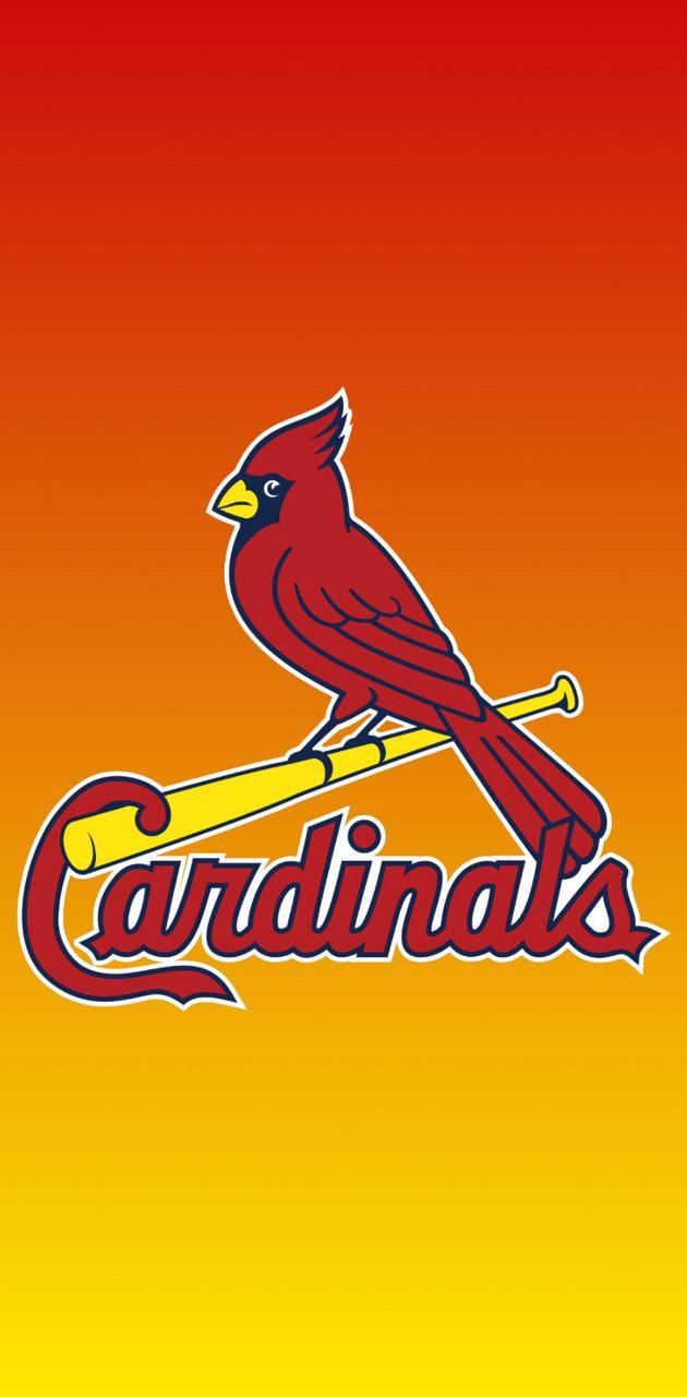 STL Cardinals Wallpapers - Top Free STL Cardinals Backgrounds ...