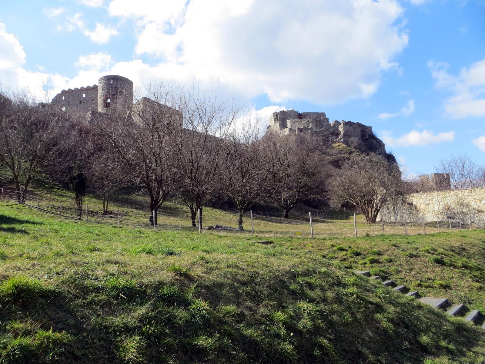 Devin Castle Wallpapers - Top Free Devin Castle Backgrounds ...