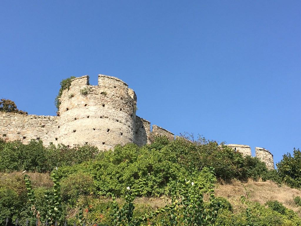 Devin Castle Wallpapers - Top Free Devin Castle Backgrounds ...