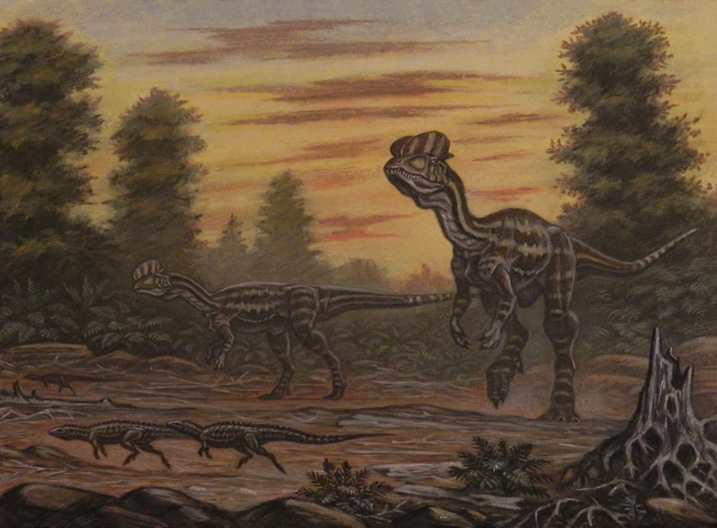 Dilophosaurus Wallpapers - Top Free Dilophosaurus Backgrounds ...