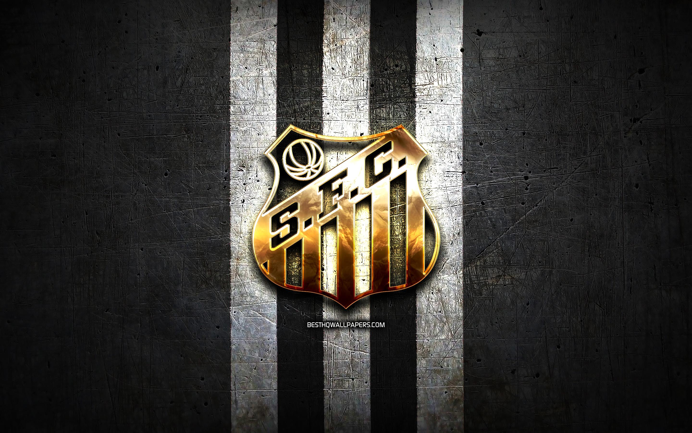 Santos FC Wallpapers - Top Free Santos FC Backgrounds - WallpaperAccess