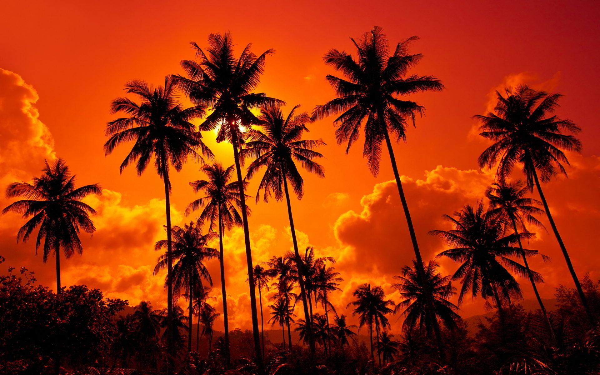 Red Sunset HD Wallpapers - Top Free Red Sunset HD Backgrounds ...