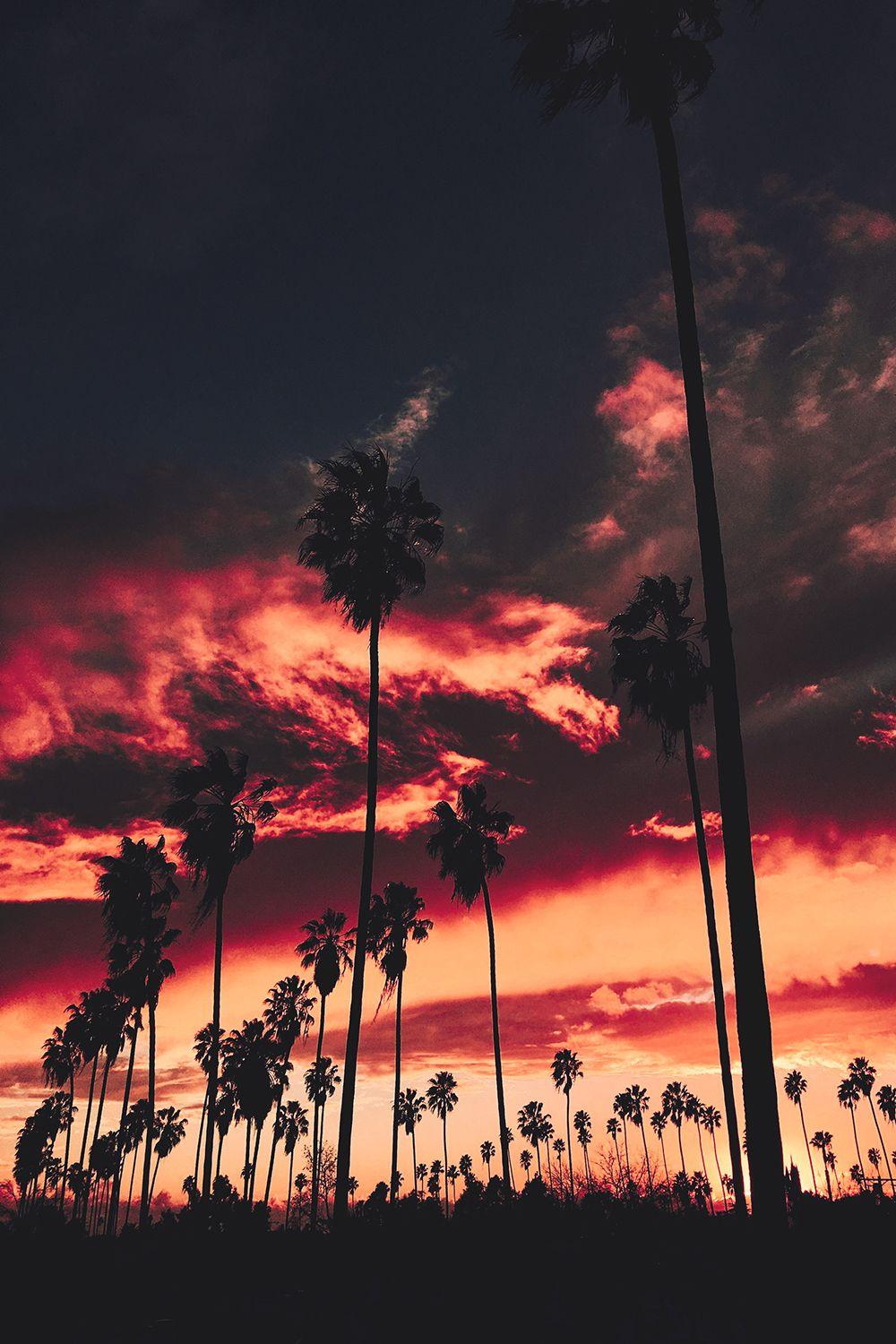 Red Sunset HD Wallpapers - Top Free Red Sunset HD Backgrounds ...