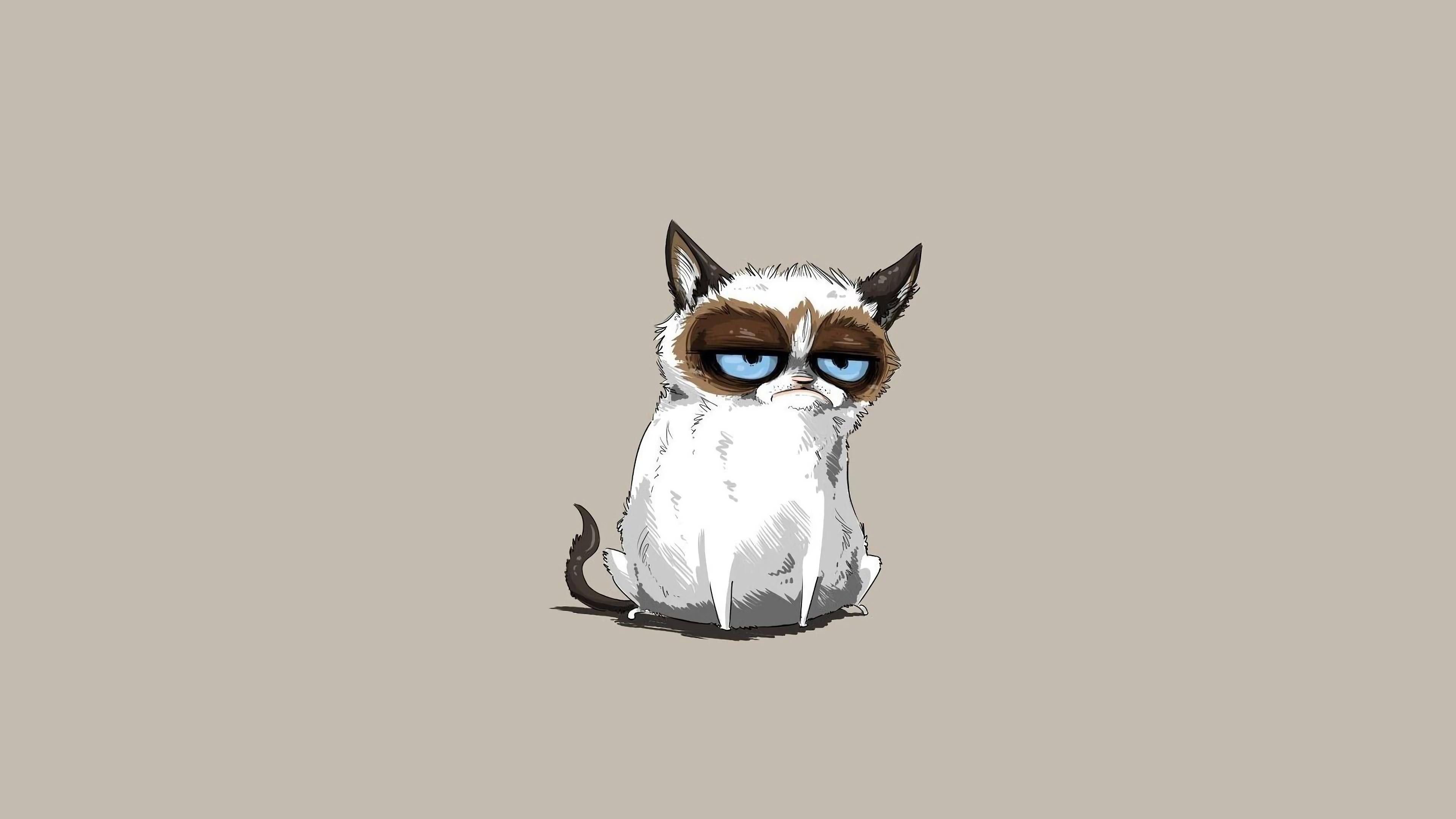 Minimalist Cat Computer Wallpapers - Top Free Minimalist Cat Computer ...