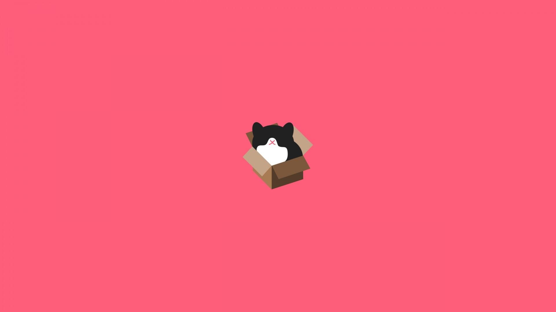 Minimalist Cat Computer Wallpapers - Top Free Minimalist Cat Computer ...