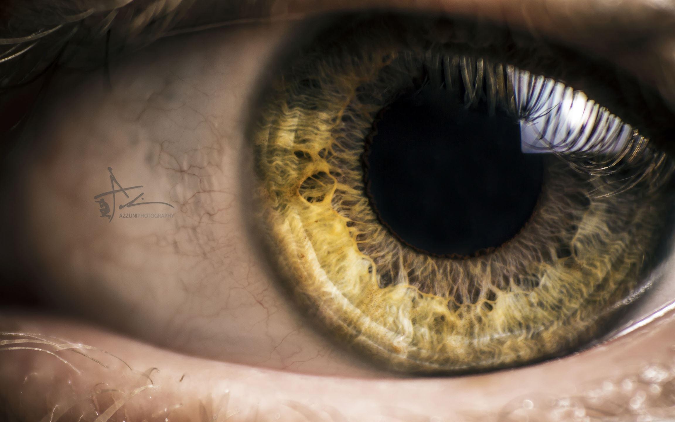 Eye Retina Wallpapers - Top Free Eye Retina Backgrounds - WallpaperAccess