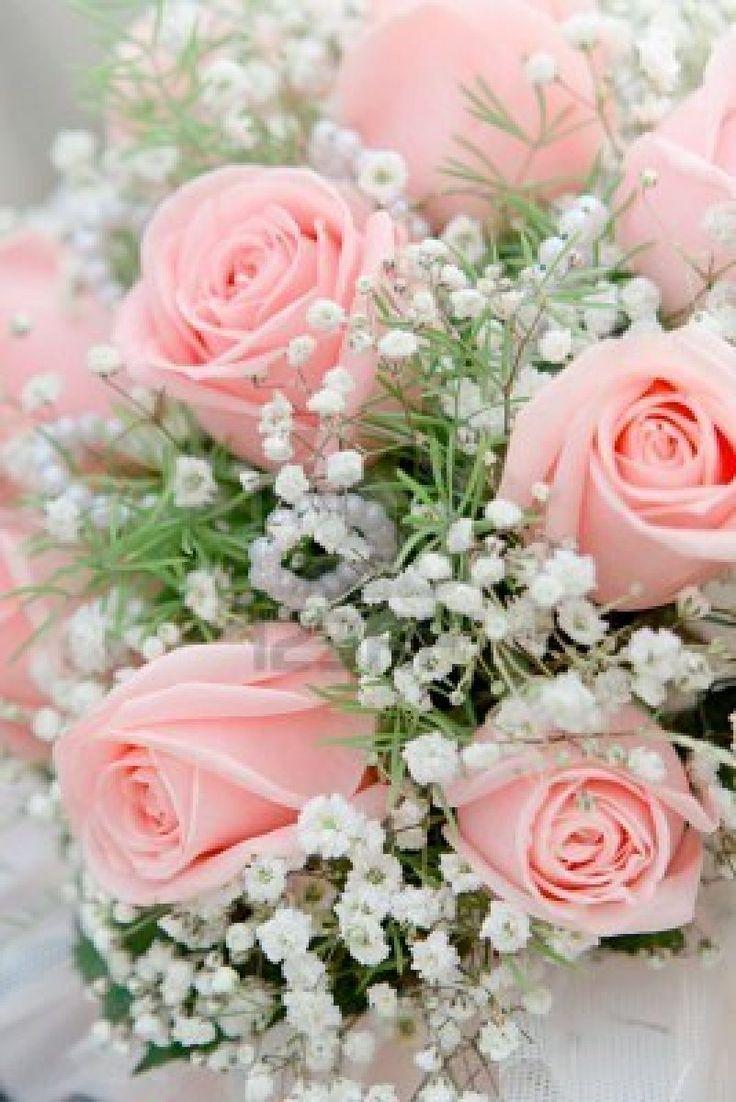 Soft Pink Roses Wallpapers - Top Free Soft Pink Roses Backgrounds ...