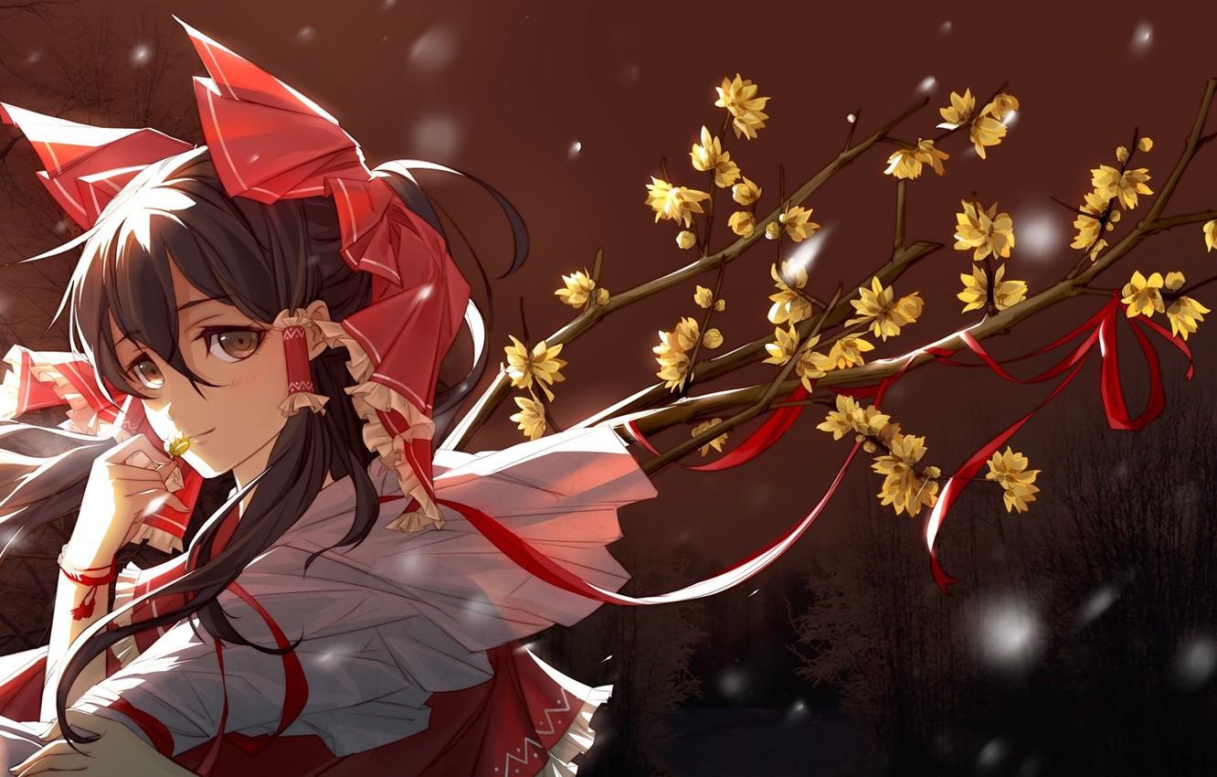 Reimu Wallpapers - Top Free Reimu Backgrounds - WallpaperAccess
