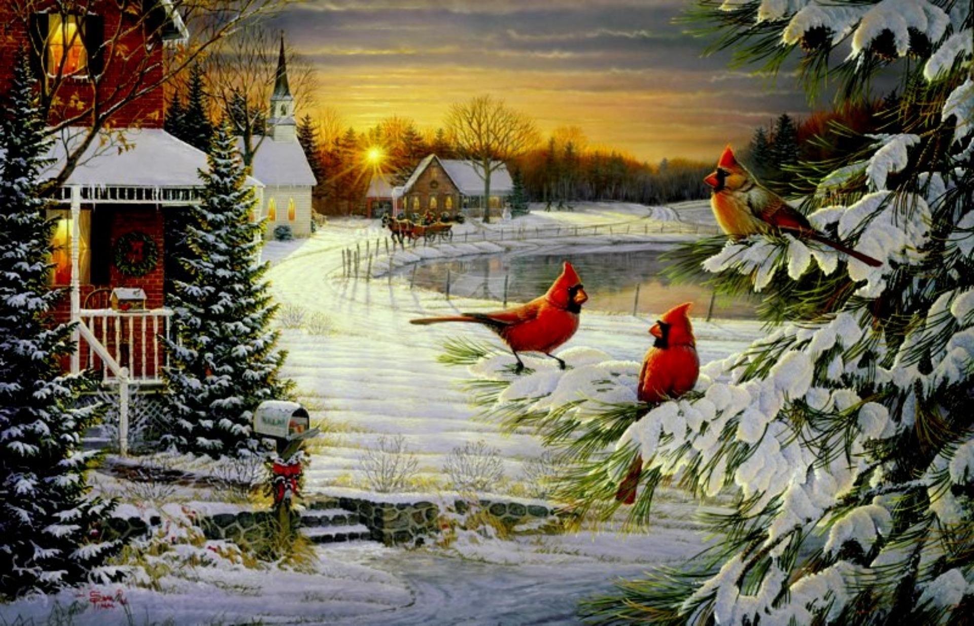 Christmas Birds Wallpapers - Top Free Christmas Birds Backgrounds ...