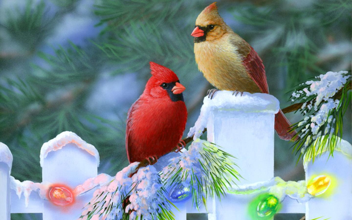 Christmas Birds Wallpapers - Top Free Christmas Birds Backgrounds ...