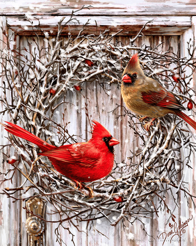 Christmas Birds Wallpapers - Top Free Christmas Birds Backgrounds ...