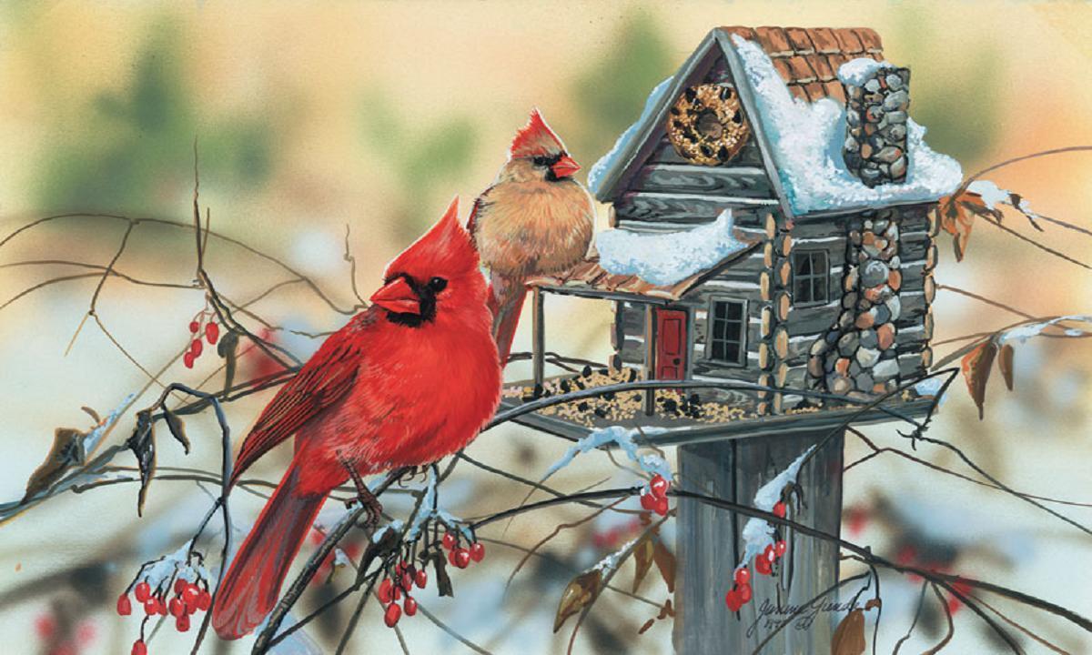 Christmas Birds Wallpapers - Top Free Christmas Birds Backgrounds ...